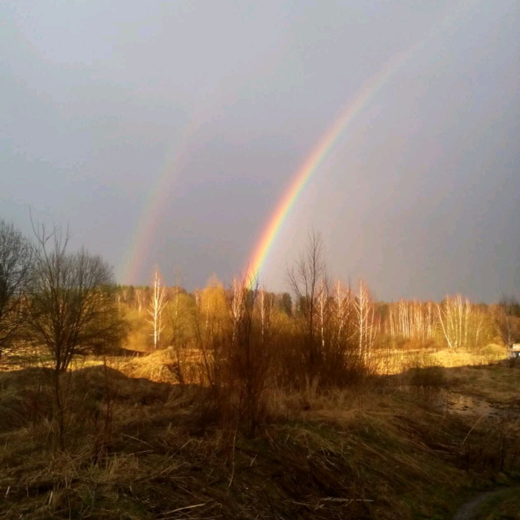 Иконка канала Love