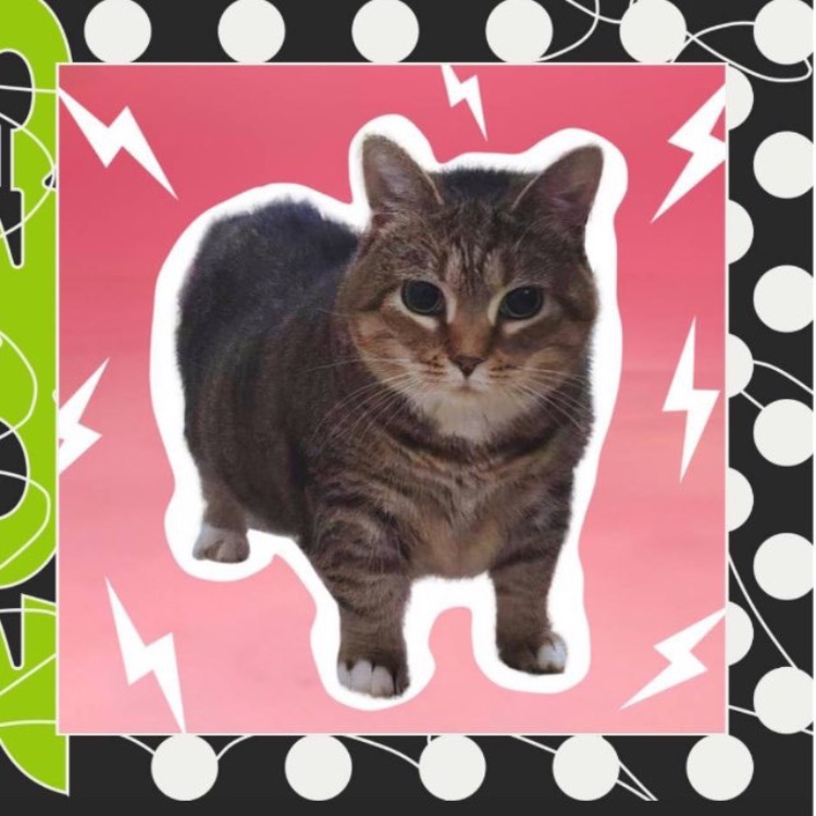 Иконка канала Лёха McDonald's