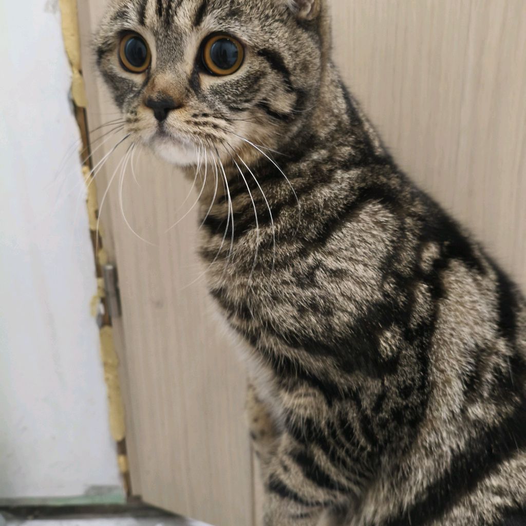 Иконка канала channel60915840