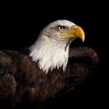 Иконка канала Алексей