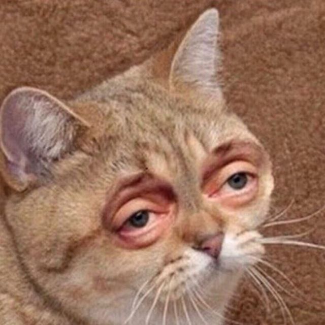 Иконка канала MED