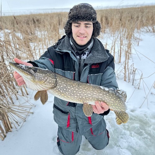 Иконка канала Рыблка для души