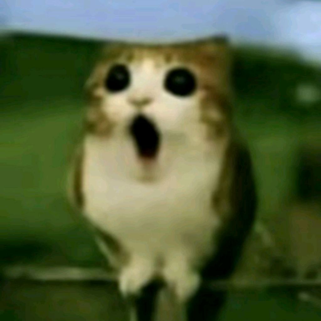 Иконка канала @#$meowl@#$