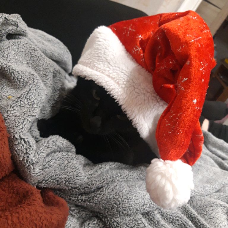 Иконка канала Есбэхпж.ижхдт О♡. ПСЛМ