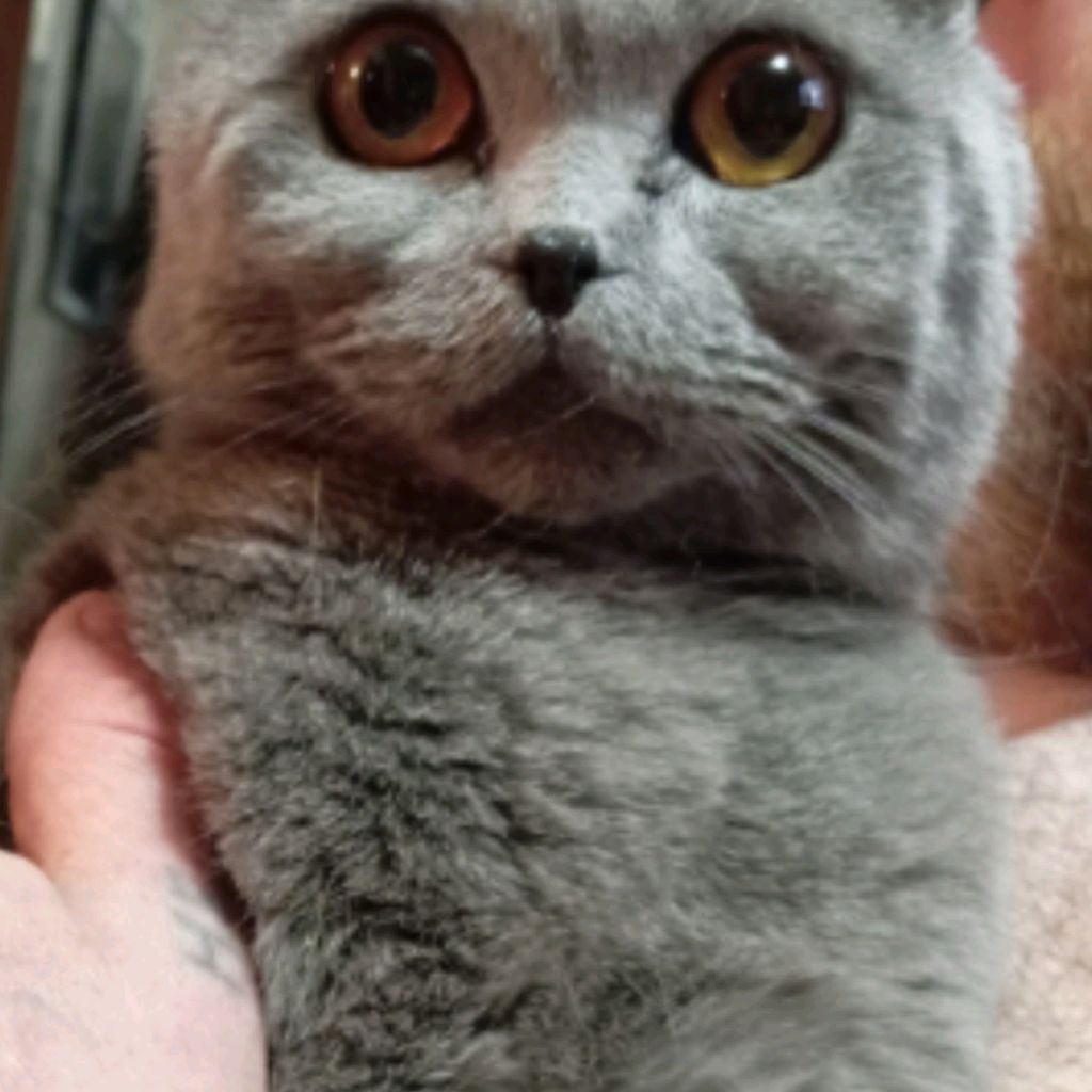 Иконка канала channel38217783