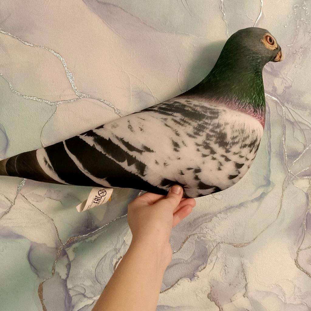 Иконка канала Голуб Валера