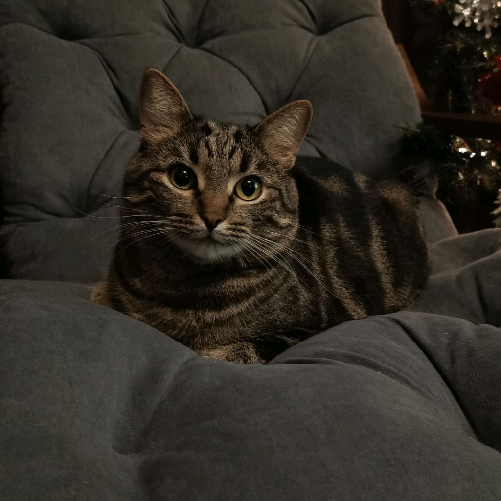 Иконка канала Красота мира