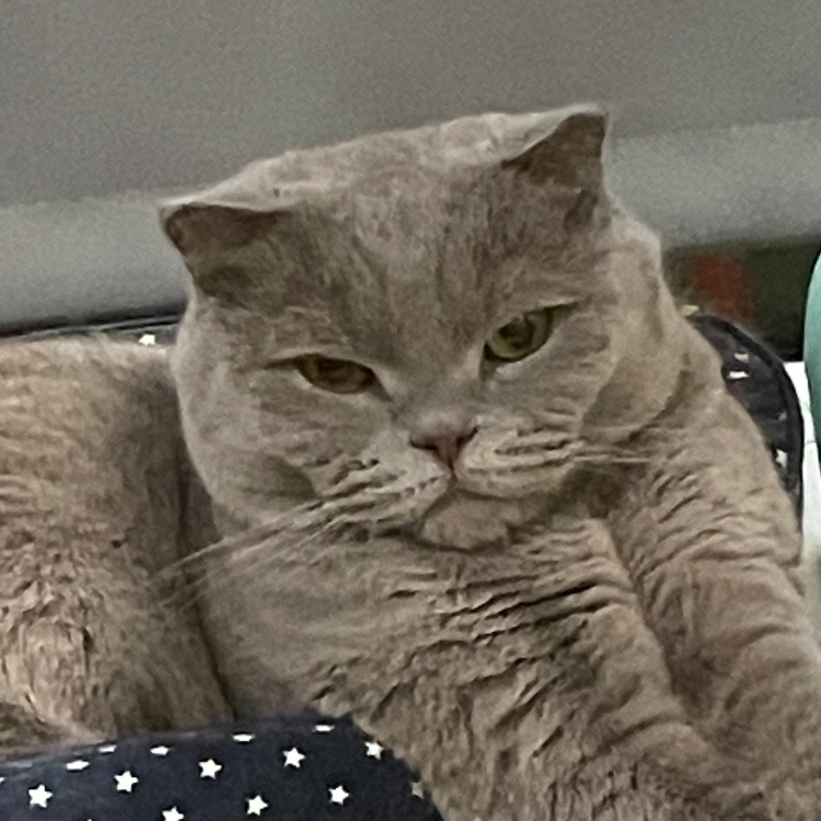 Иконка канала Димон Лимон