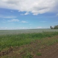 Иконка канала Денисыч и Никитыч.