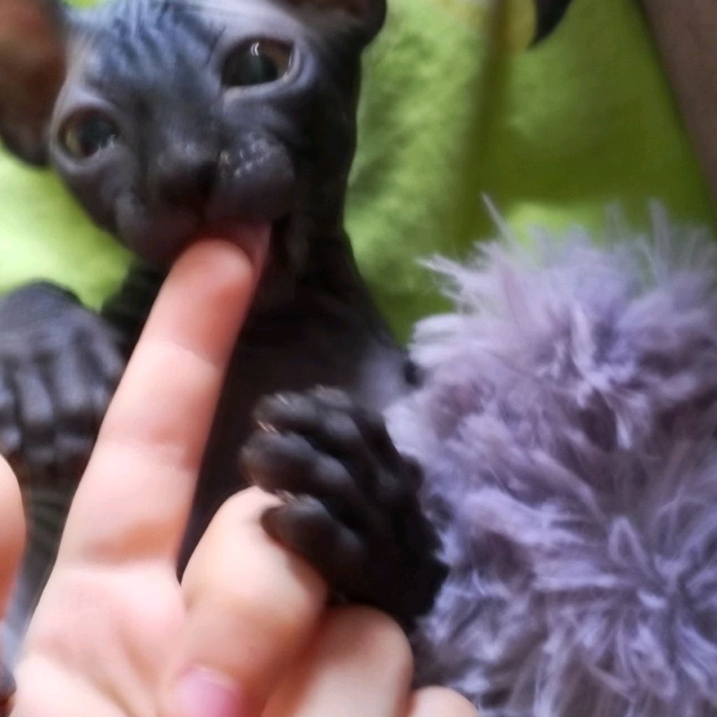 Иконка канала channel65745335