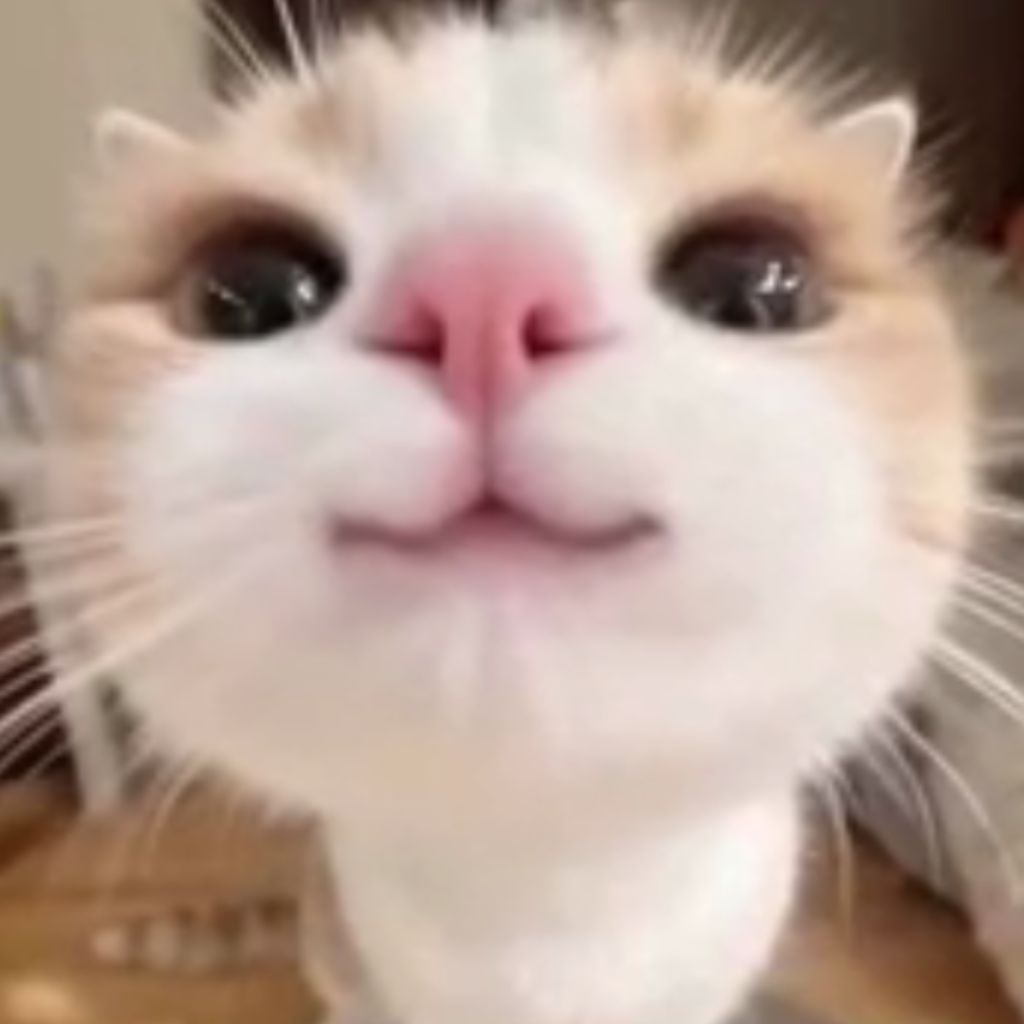 Иконка канала ✨🌞  Просто Соня 🌞✨