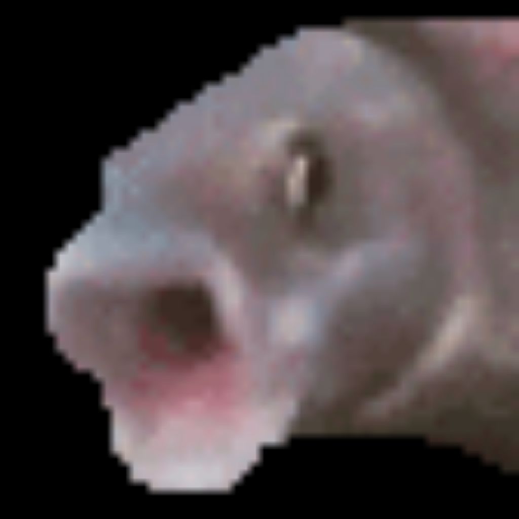 Иконка канала kitfokhc009