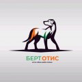 Иконка канала Бертотис