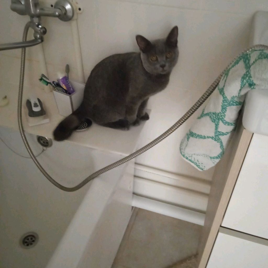 Иконка канала EVA BOX