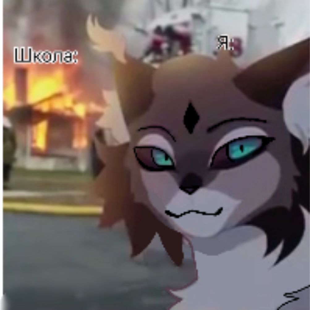 Иконка канала Коты воители