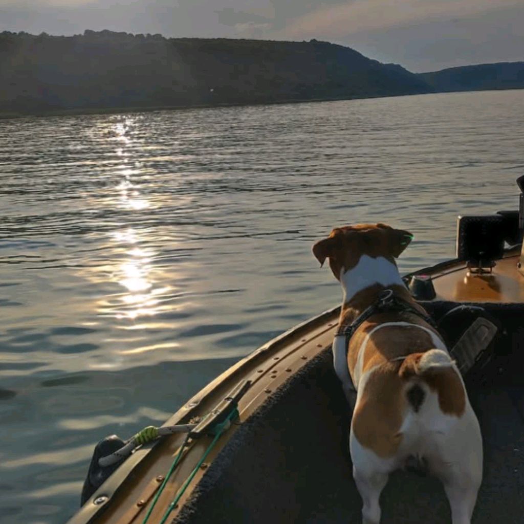 Иконка канала MaurerLM