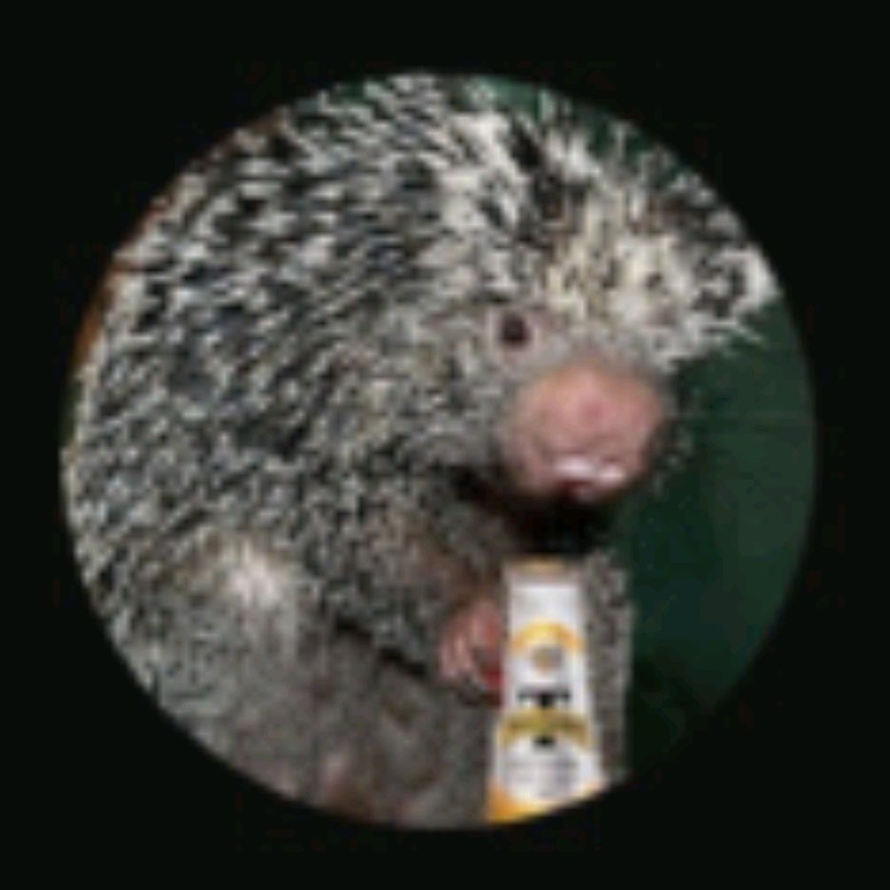 Иконка канала e-lanstvo