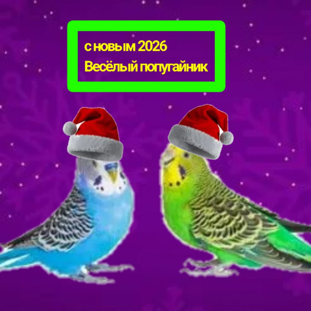 Иконка канала Весёлый попугайник