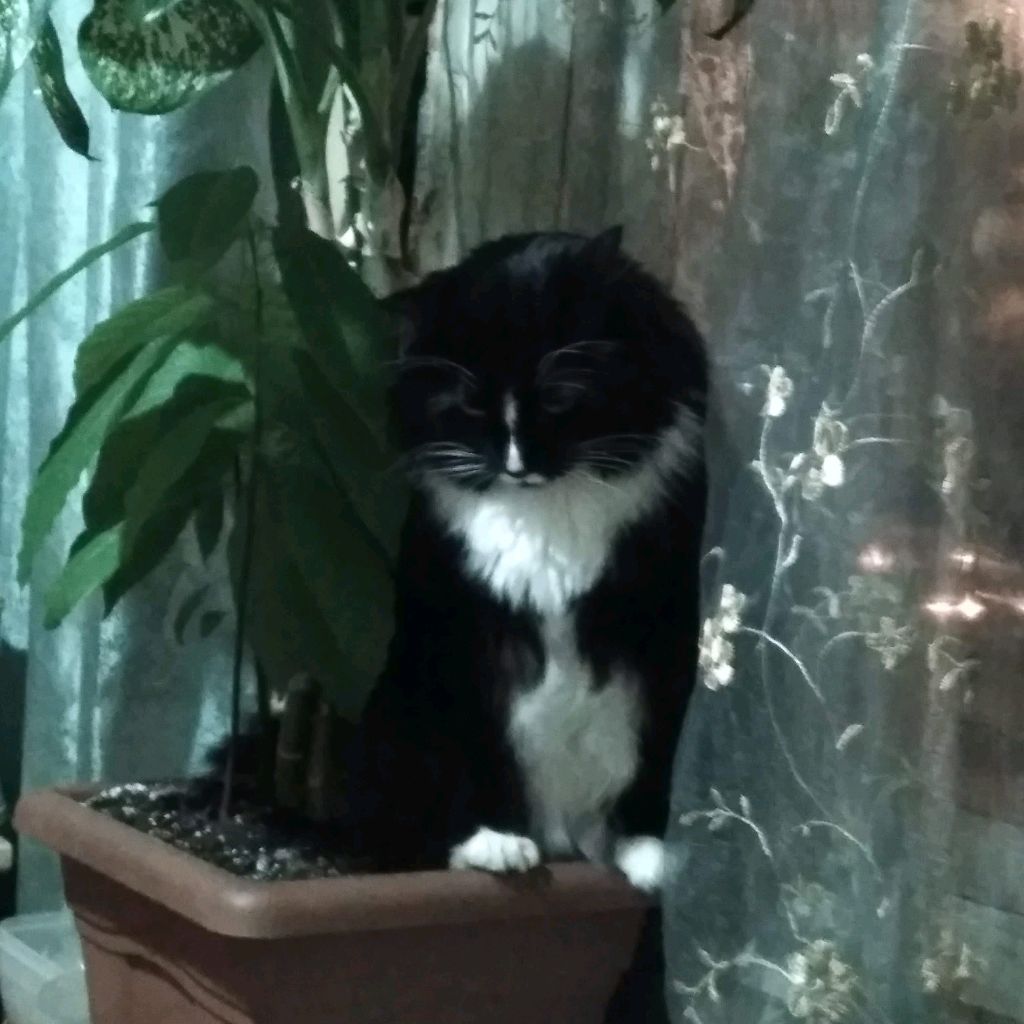 Иконка канала СПб - Ольга М.