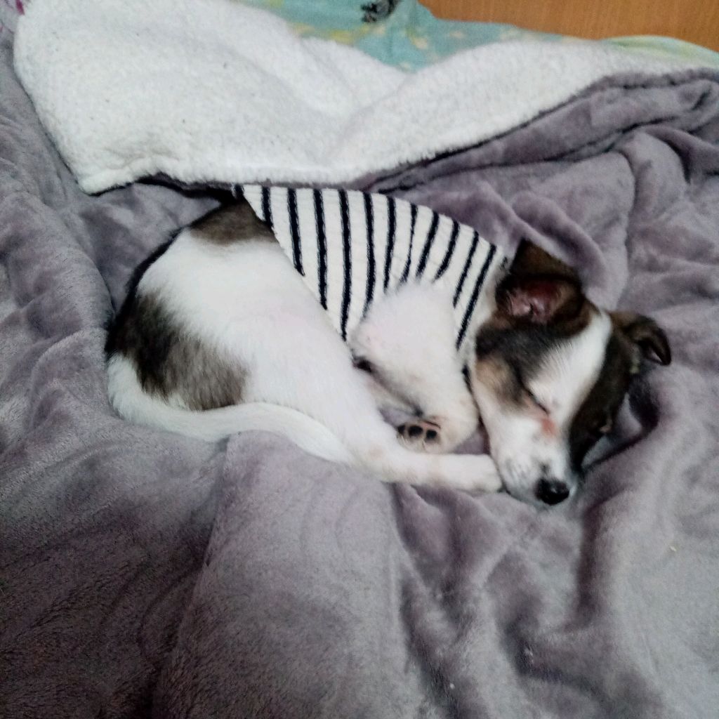 Иконка канала . Блок С Гертой.