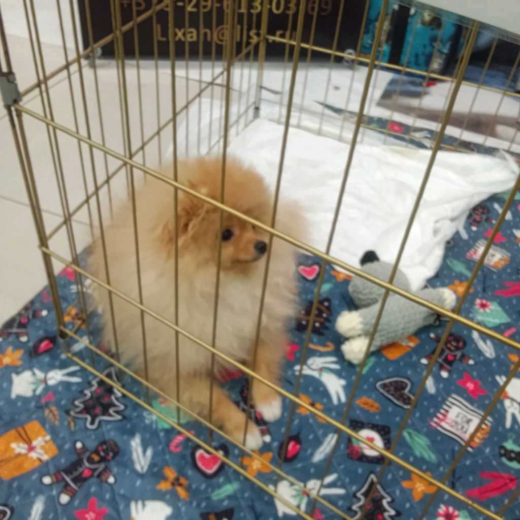 Иконка канала Лизка 🌲🎉