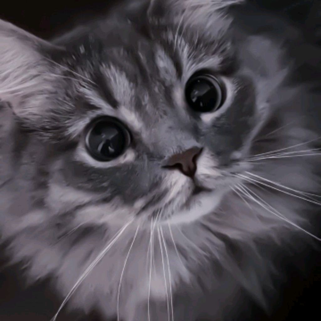 Иконка канала 🍓🫐カミラ🫐🍓