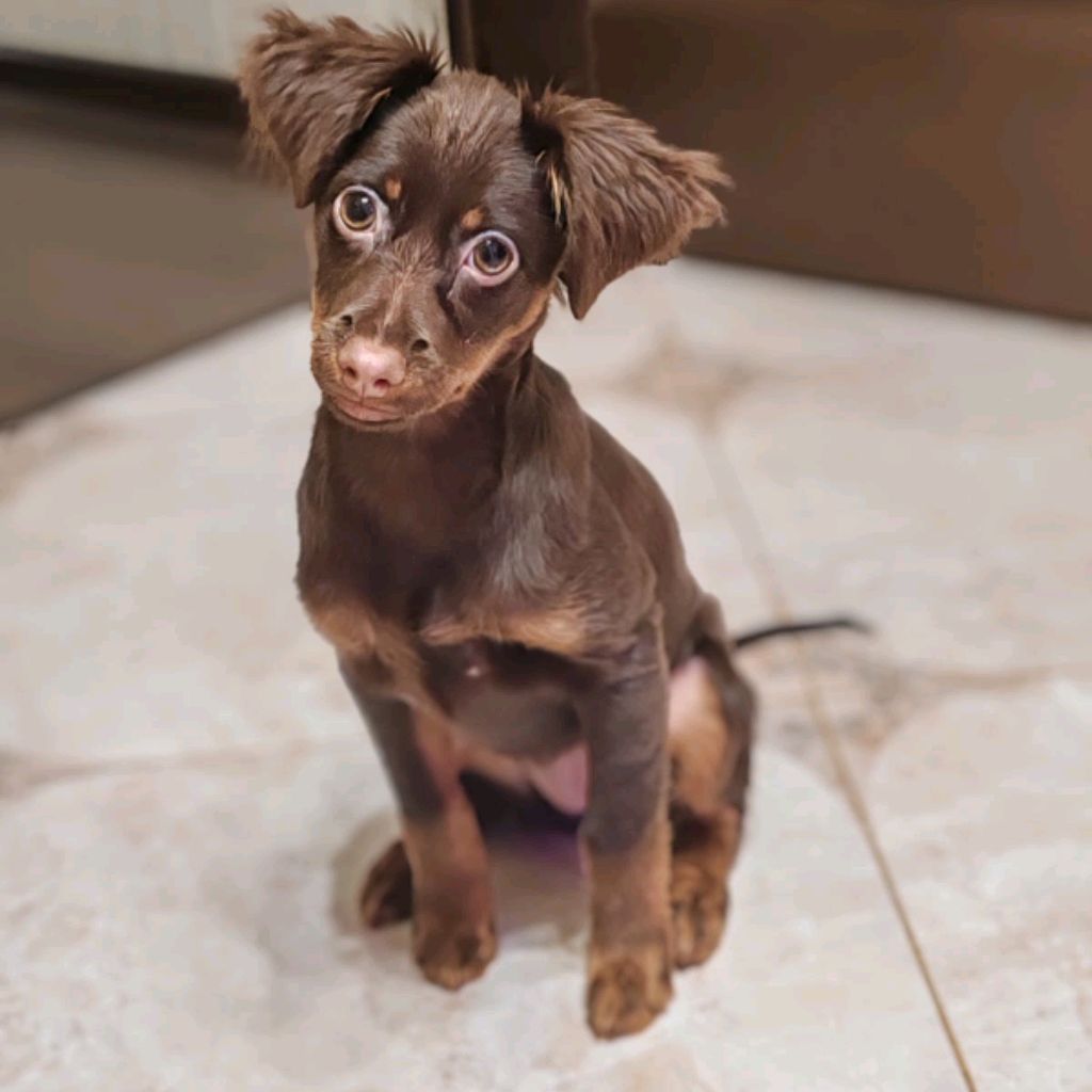 Иконка канала Ксюша И Холли