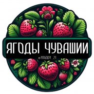 Иконка канала Ягоды Чувашии 🍓