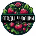 Иконка канала Ягоды Чувашии 🍓