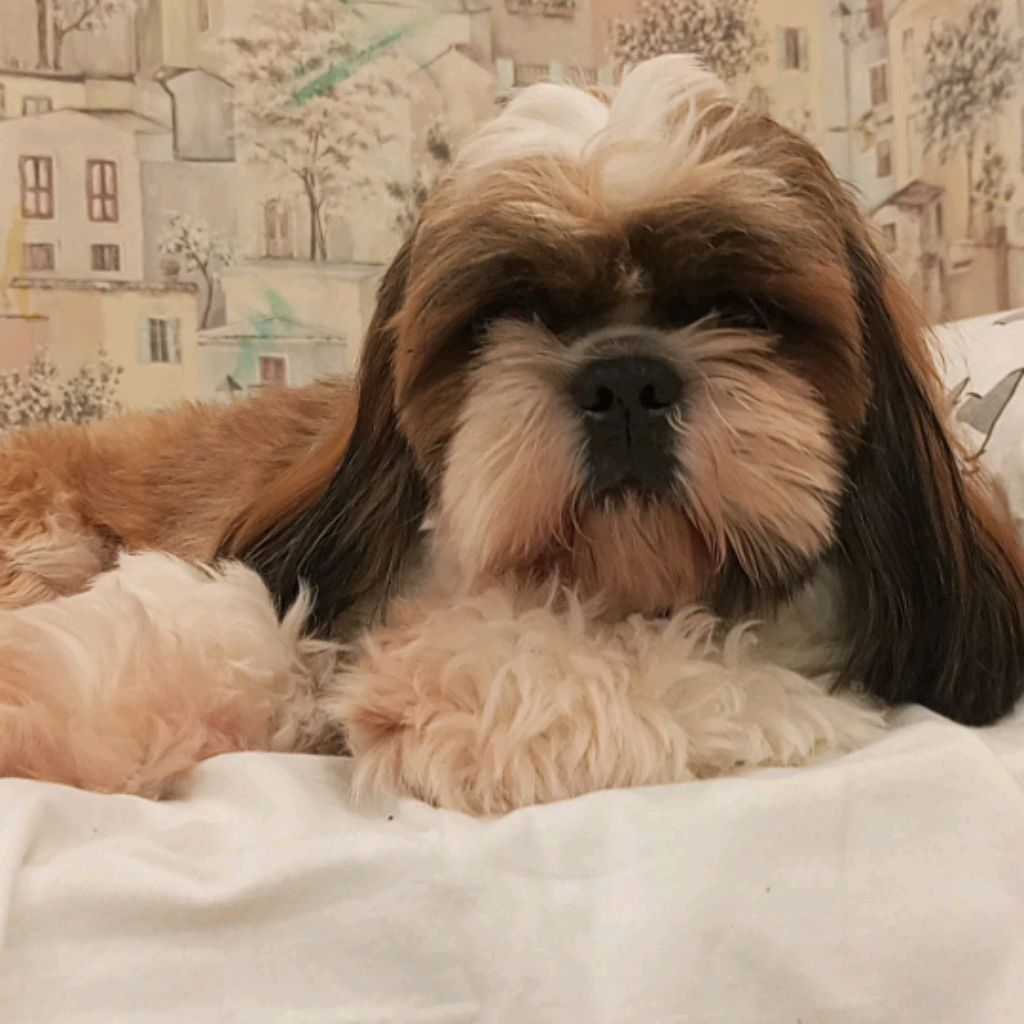 Иконка канала channel34485022