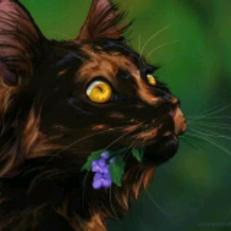 Иконка канала Коты воители