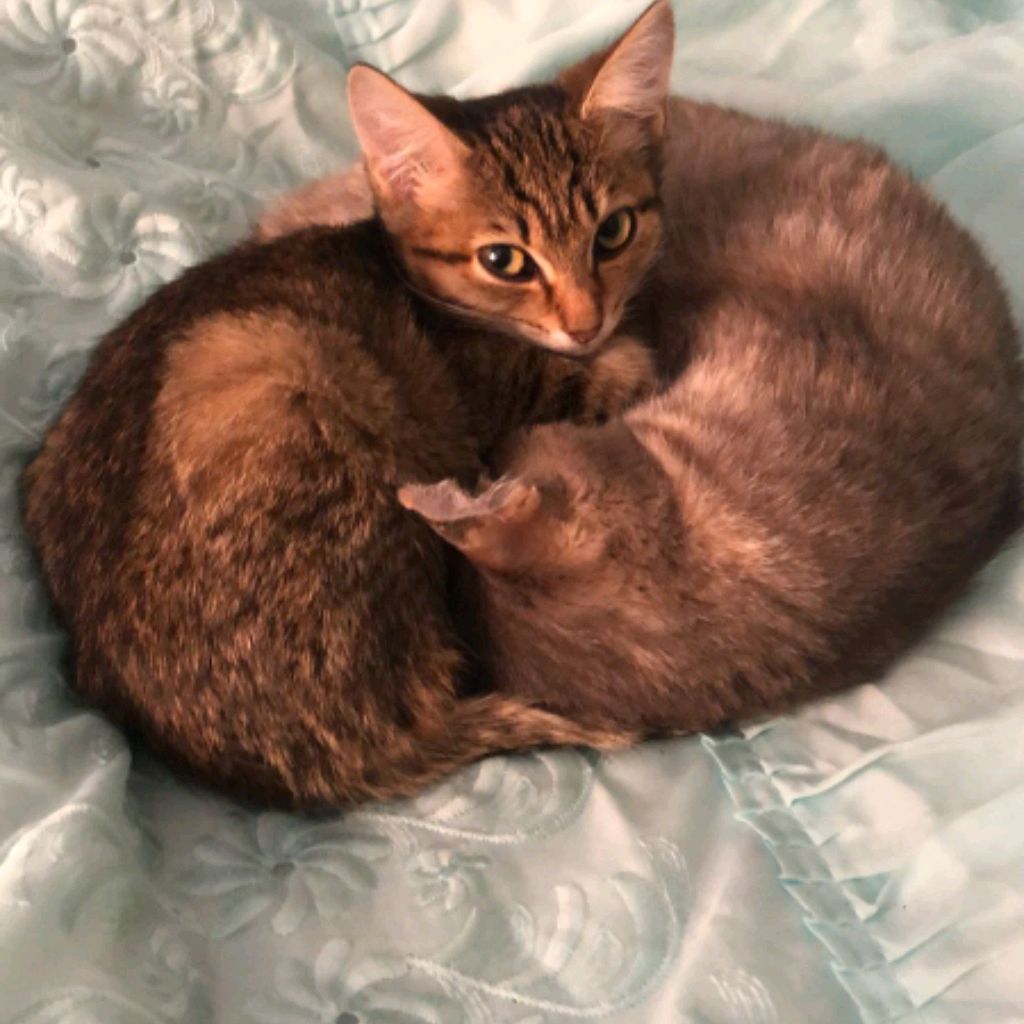 Иконка канала Соня☺