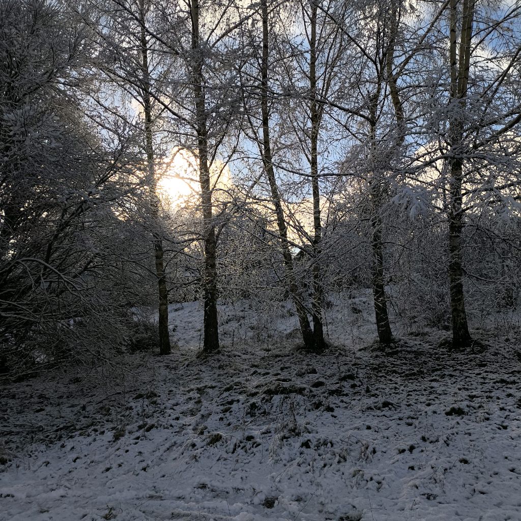 Иконка канала Горизонт мгновений