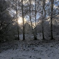 Иконка канала Горизонт мгновений