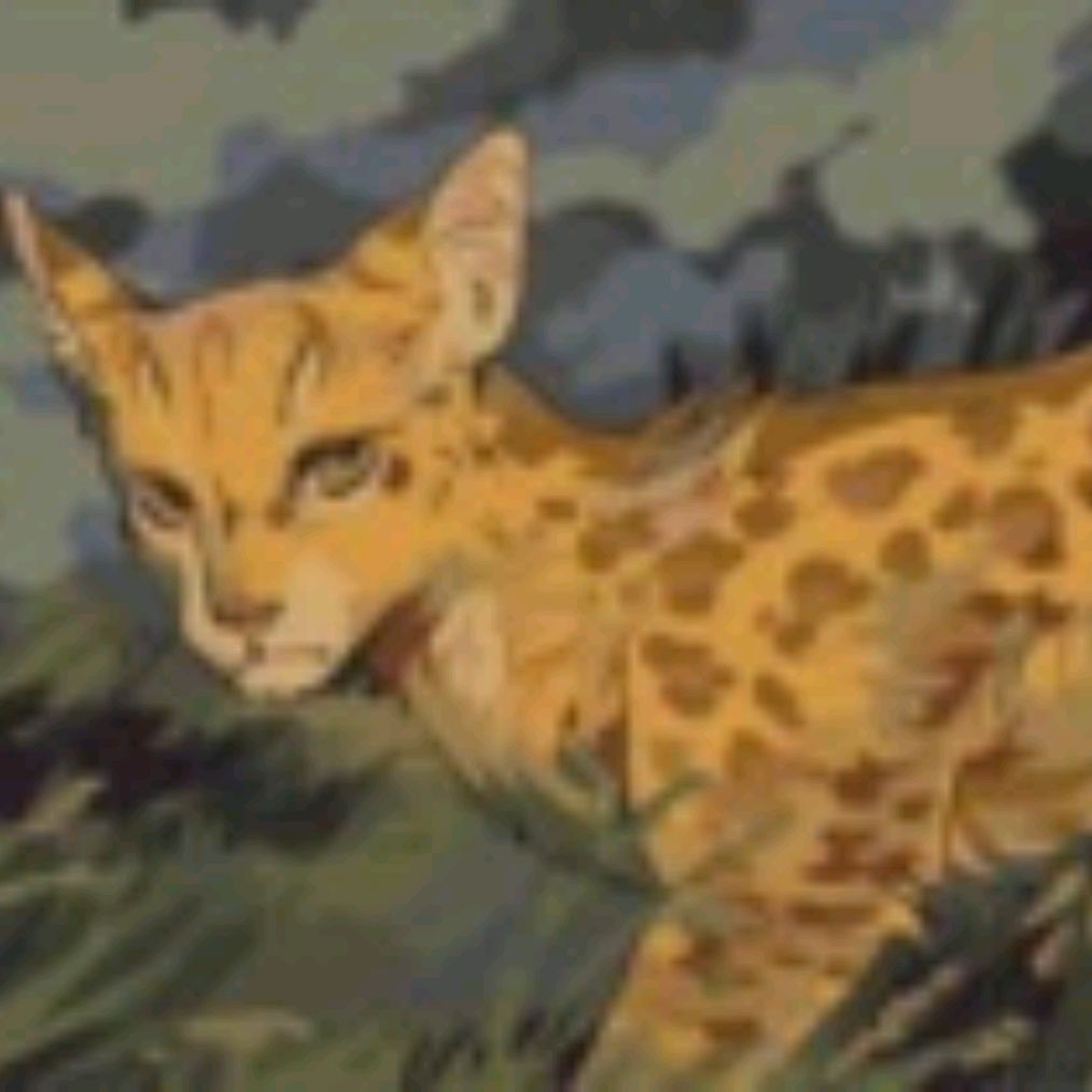 Иконка канала [ 🧉Сеäмäя,Гöqчüцä✌ ] Эguтшä