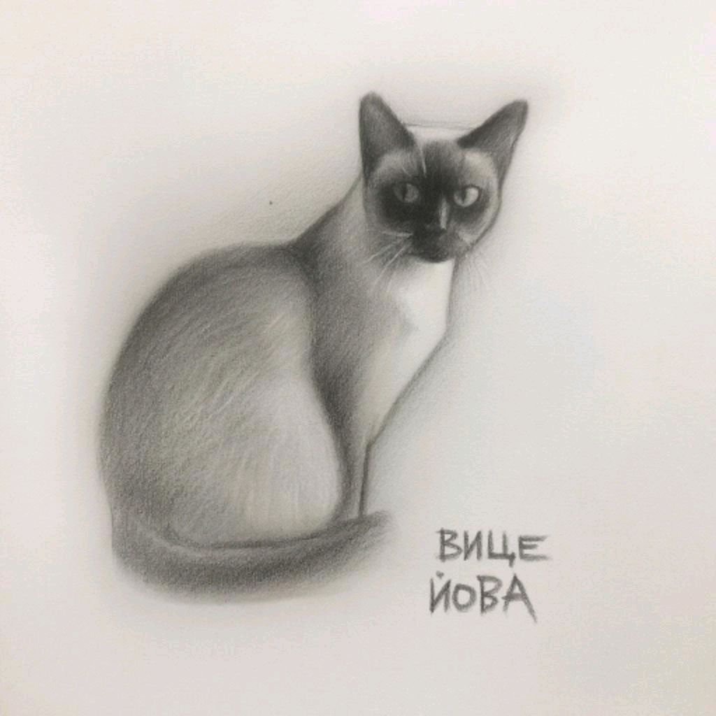 Иконка канала viceйова.