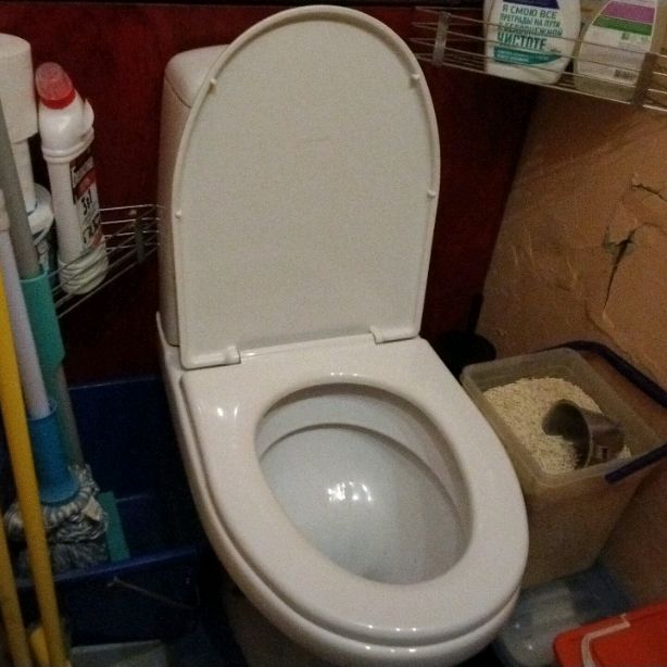 Иконка канала Это Щп Братан🗣️🔥🗣️🔥🗣️🔥🗣️🔥🗣️