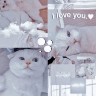 Иконка канала 𝐶𝑎𝑡