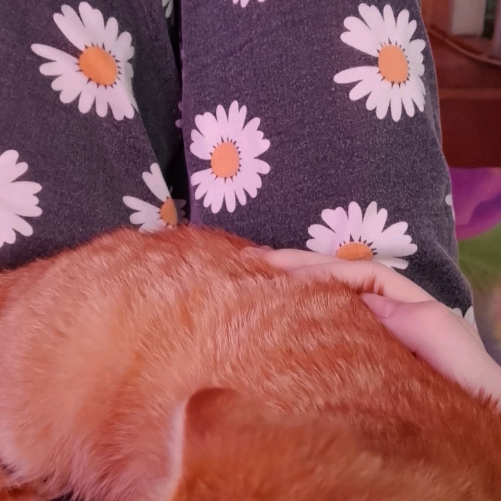 Иконка канала Зелëнка 🥰🫛🪭🫶