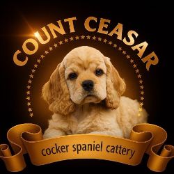 Иконка канала count_ceasar