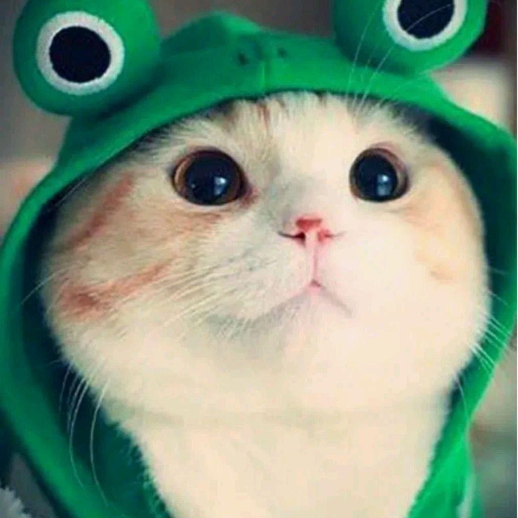 Иконка канала Софи Лайки