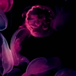 Иконка канала Favorite music