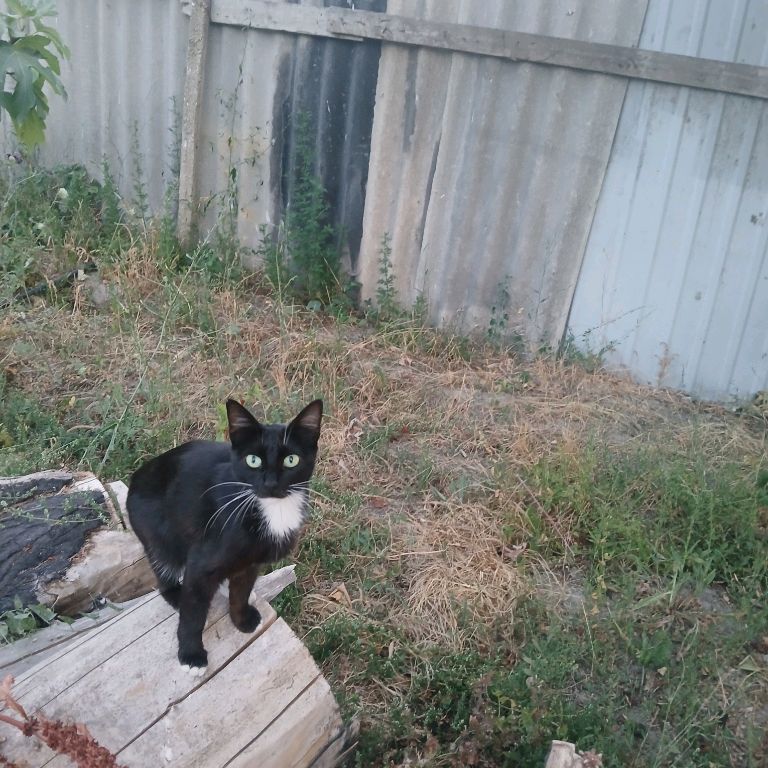 Иконка канала С.захит