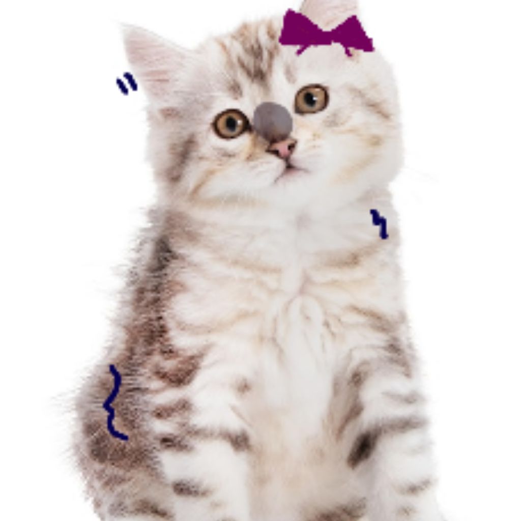 Иконка канала Виктарина