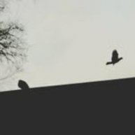 Иконка канала e.no.no