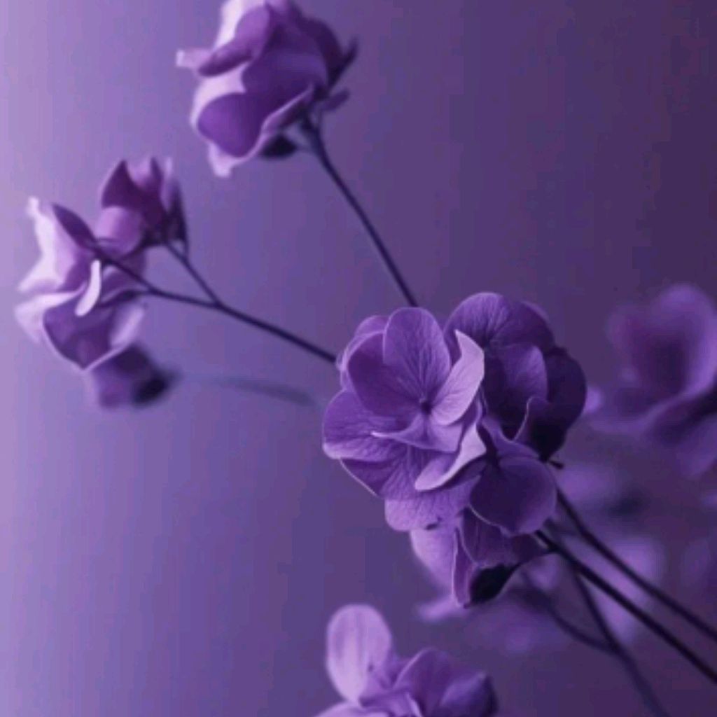 Иконка канала 💜Куроми💜