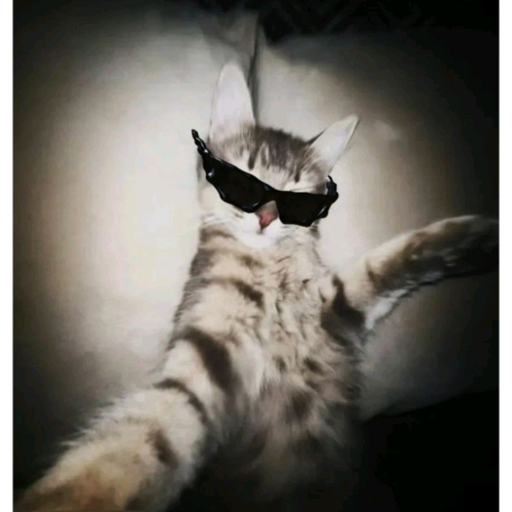 Иконка канала 👑Капучина👑(РЕСТ)