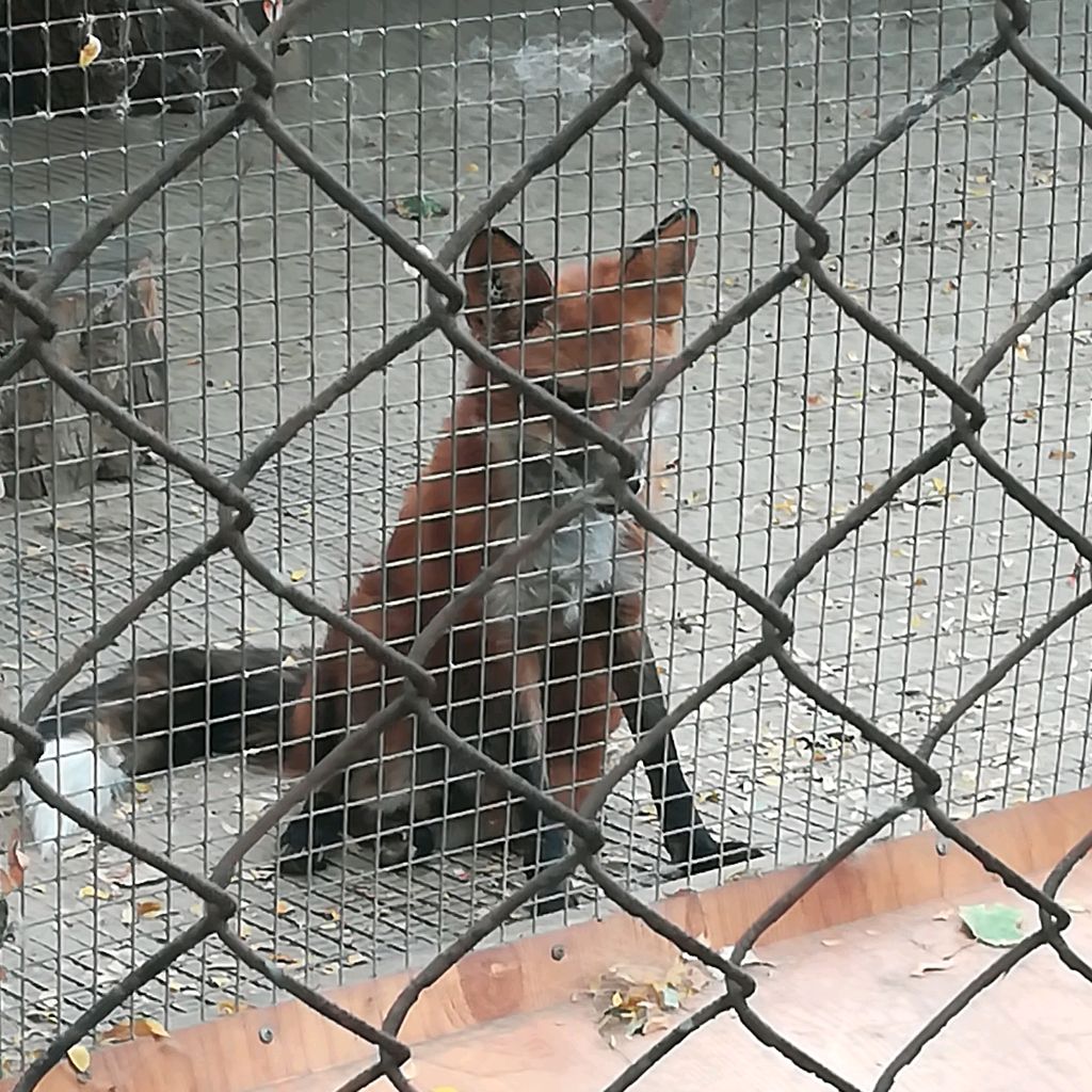 Иконка канала Игры С Мишей-games Froms Misha