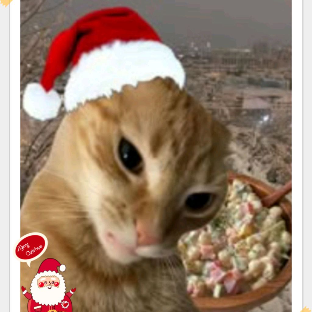 Иконка канала 🇷🇺РУССКИЕ СИЛА🇷🇺