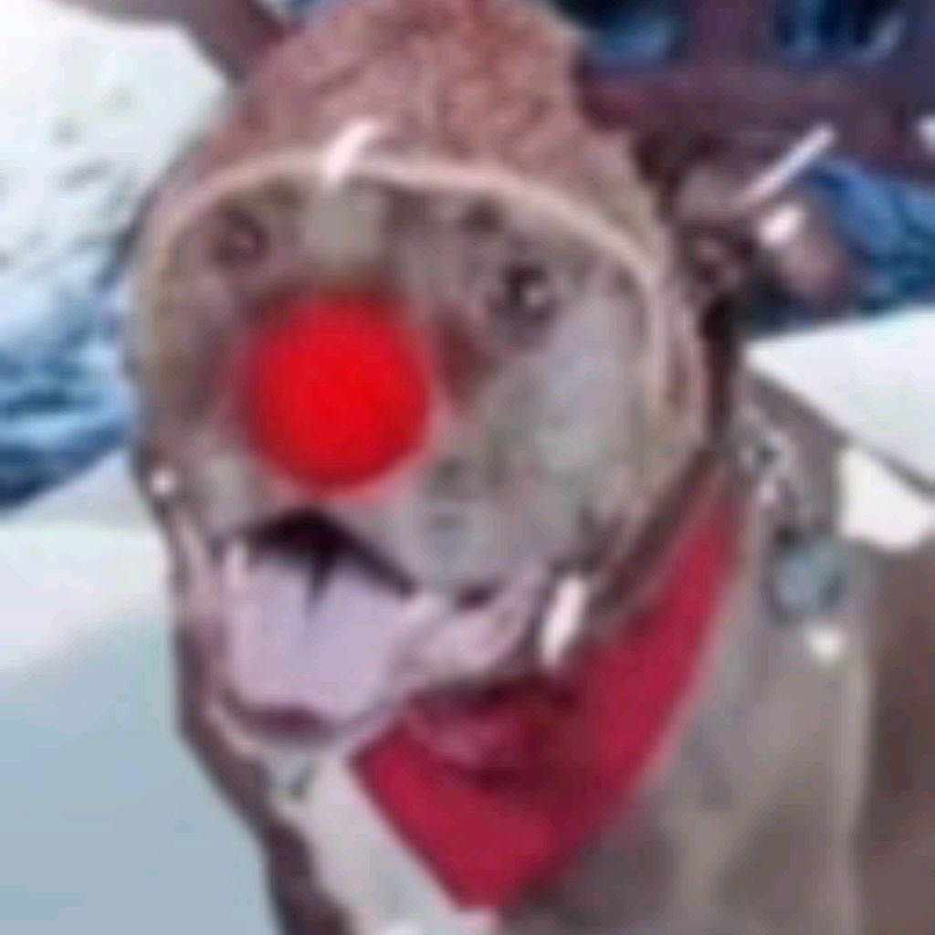 Иконка канала Будем лавить Рыбу